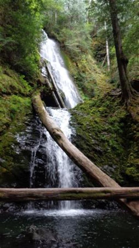 Murhut Falls Olympic National Park 2021 All You Need To Know Before