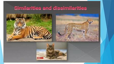 Sorting Materials Into Groups Class 6 Ppt Pptx