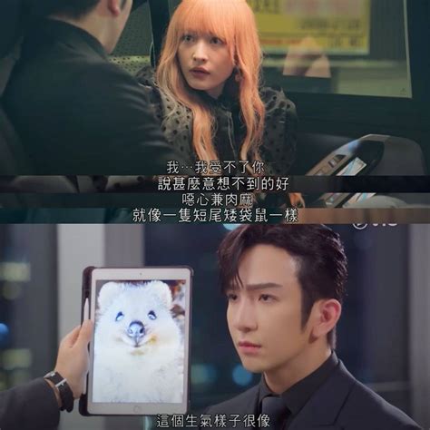 社內相親｜anson Lo陳漢娜愈愛愈肉緊 親熱場面逐個捉