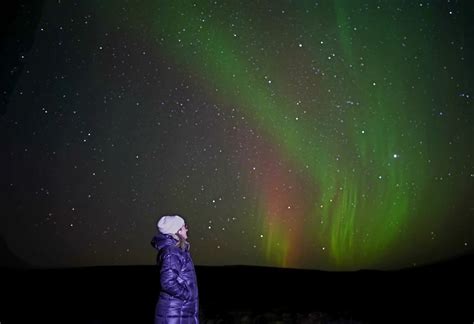 Northern Lights Guided Tour With Complimentary Professional Photos