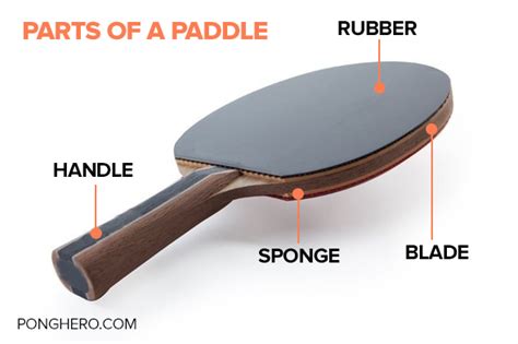 Guide To The Best Ping Pong Paddles 2018 · Ponghero