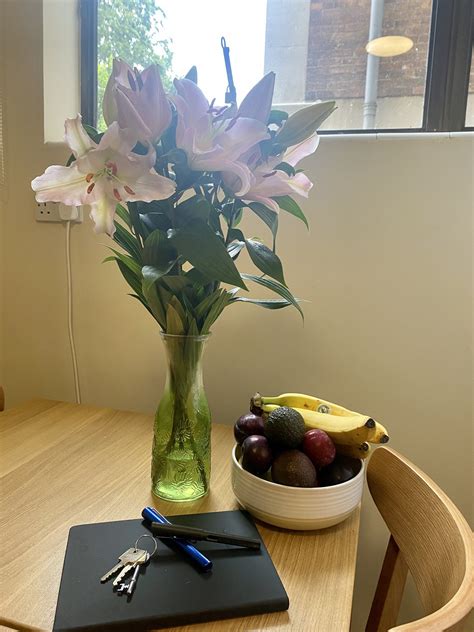 Daniel Mcnamee On Twitter Absolutely Adore How Our Life Together Is Looking…