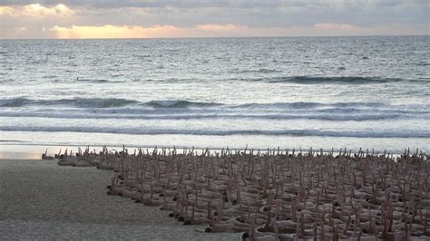 Thousands Go Nude On Bondi Beach To Raise Awareness For Skin Cancer