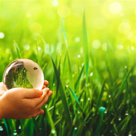 Sustainability And Renewable Energy Green City Times