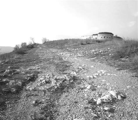 Discovering John Michela Angileri