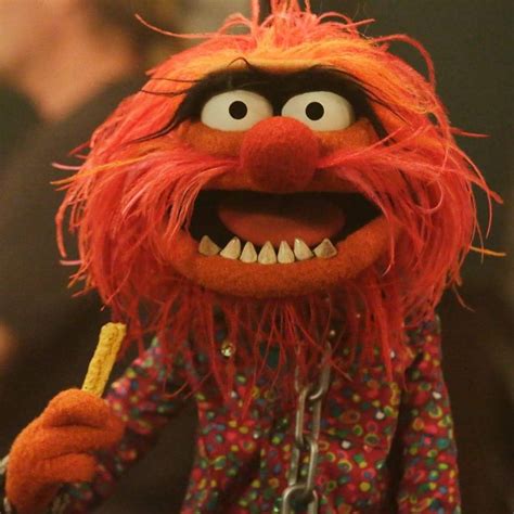 Pin By ♜kali Baucom 🐸🐷 On Muppets Muppets Animal Muppet The Muppets