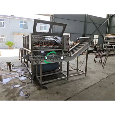 Why Egg Suppliers Are Turning To Egg Peeling Machine Factories For