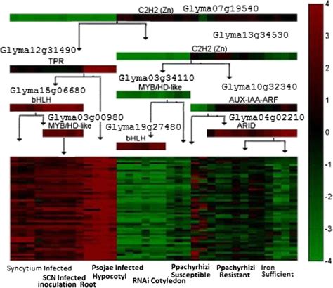 The Gene Regulatory Module 2 Download Scientific Diagram