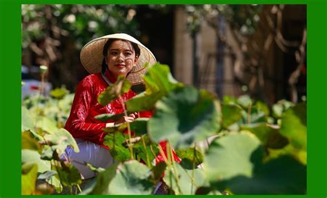 Digimarc Code Barcode Current Situation And Future Development