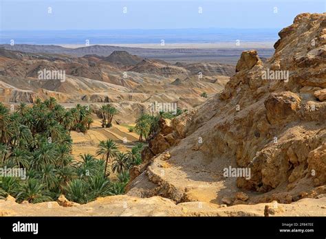 Wuste hi-res stock photography and images - Alamy