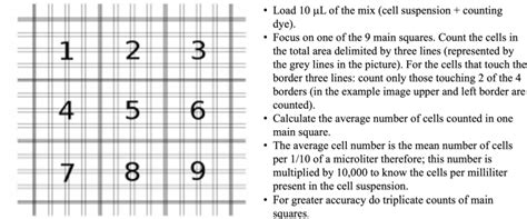 Figure 1 From Human Dendritic Cell Subset Isolation By Magnetic Bead