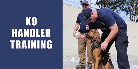 Professional K9 Handler Training Scent Evidence K9