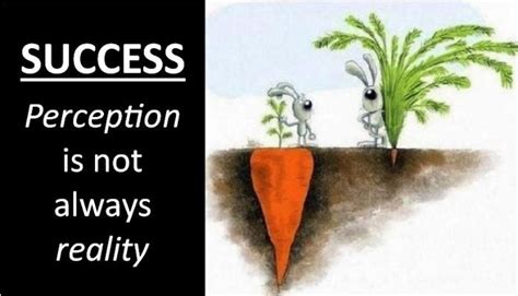 Perception Is Not Final There Is Always A Truth Behind