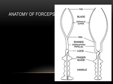 Clinical Pelvimetry And Forceps Assisted Vaginal Delivery Pptx