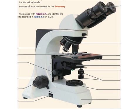 Microscope Practice For Practical Quiz