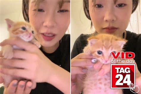 Viral Video Of The Day For June 9 2024 Cat With Belly Full Of Soup