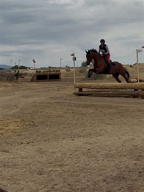 Stacey Christopherson