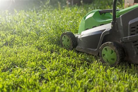Professional Grass Cutting Services For A Neat Lawn