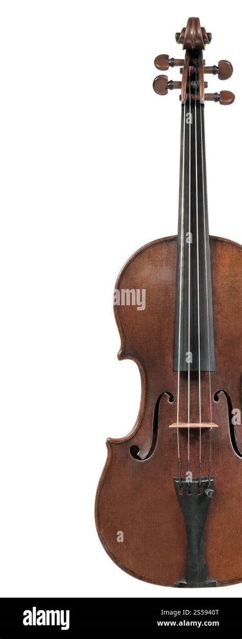 Classical Violin Isolated White Background Classical Violin Stock
