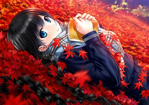 Safebooru 1girl Absurdres Autumn Autumn Leaves Bangs Black Hair Blue