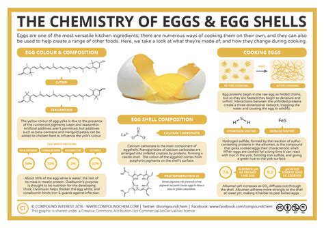The Chemistry Of Eggs And Egg Shells
