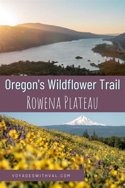 The 22 Most Stunning Hiking Trails Near Vancouver Bc Artofit