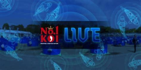 若鯉大会スペシャルオークション！【ライブ鯉】成田養魚園の錦鯉オークションサイト Live鯉