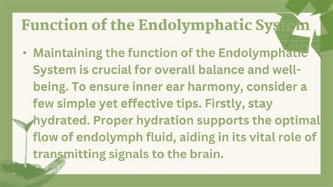 Ppt Maintaining Inner Ear Harmony How The Endolymphatic System
