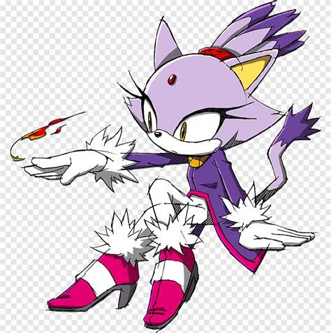 Blaze The Cat Sonic The Hedgehog Sonic Rush Adventure Blaze Purple