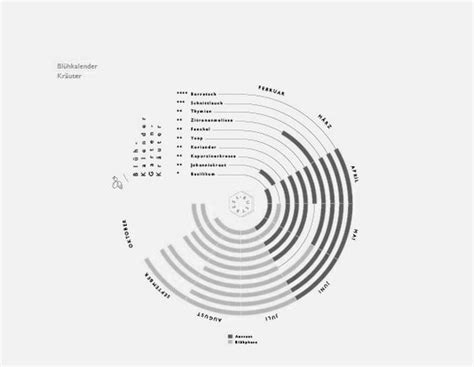Circular Diagram For Data Visualization Design