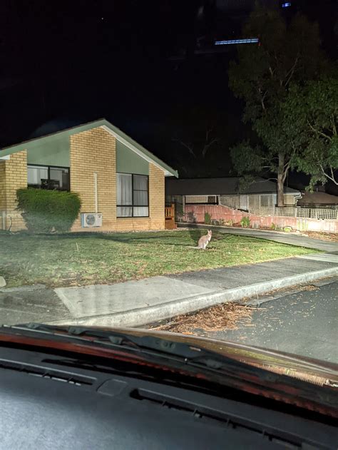 Blog — Daniel Hoops