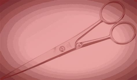 Barber Billy Bob Dixie Butcher Crime Fiction By Russell Guenther By