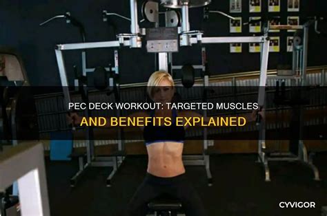 Pec Deck Workout Targeted Muscles And Benefits Explained Cyvigor