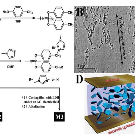 A The Scheme Of Membrane Fabrication B Tem Image Of Membrane With Download Scientific