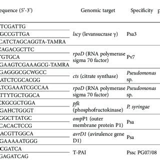 List Of PCR Primers And Probes Used Or Developed In This Study Along Download Scientific