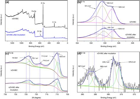 Wide Scan Xps Analysis Of Nzvibc Before And After 30 Day Incubation