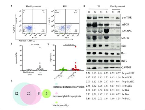 Platelet Apoptosis In The Itp Cohort Apoptotic Platelets Were Download Scientific Diagram