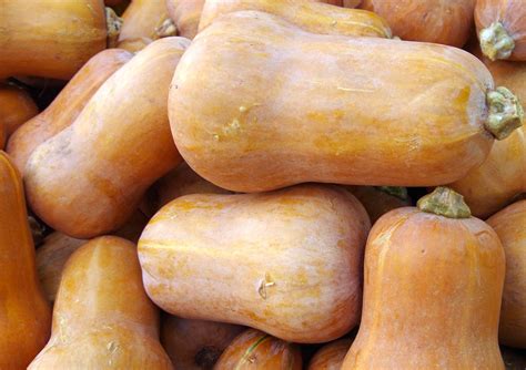 What Is Honeynut Squash And How Do You Cook With It