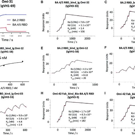 Surface Plasmon Resonance Spr Analysis Of The Interaction Between Download Scientific Diagram