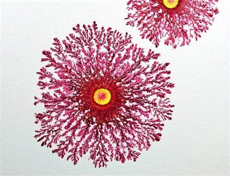 Tutorial How To Create Fractal Dendrites