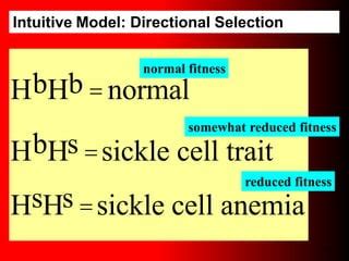 Balancing Selection Sickle Cell Anemia And The African Slave Trade As