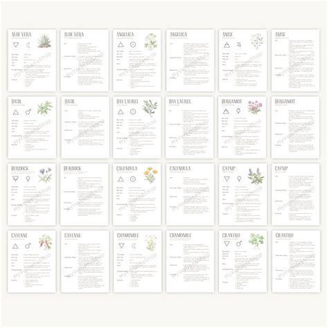 Complete Herbal Reference Set 74 Printable Herb Guides For Natural