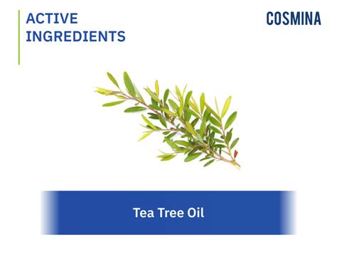 Tea Tree Oil Cosmina