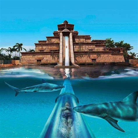 Aquaventure Atlantis The Palm