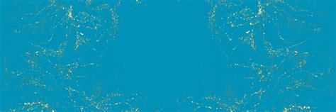 Pubic Symphysis Dysfunction Empowered Pelvic