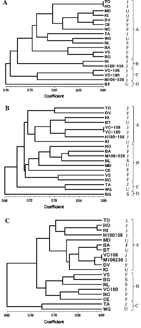 Upgma Phenogram Of The Genetic Relationships Among 19 Japanese Fig Download Scientific Diagram