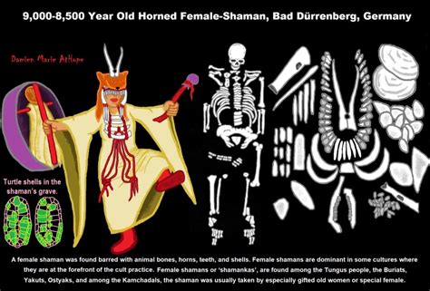 Earth Diver Axis Mundi And World Turtle Mythology Damien Marie Athope