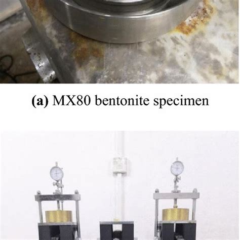 Measurement Of Swelling Pressure With Oedometer Download Scientific Diagram