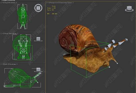 3dmax蜗牛带绑定带动画缩头动画2套3d素材下载 编号16258072 我图网3d模型库