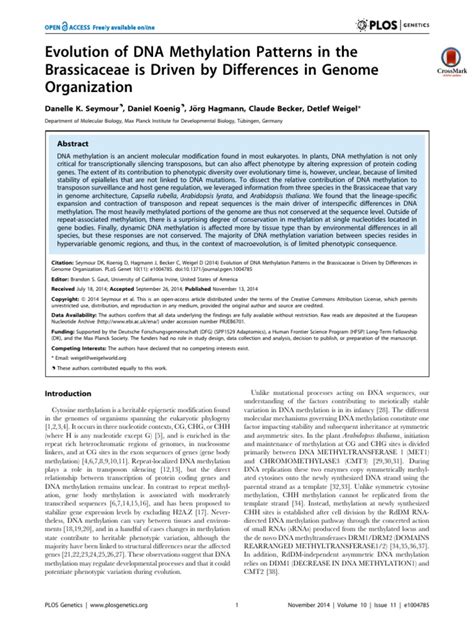 Seymour 2014 Evolution Of Dna Methylation Patter Pdf Dna